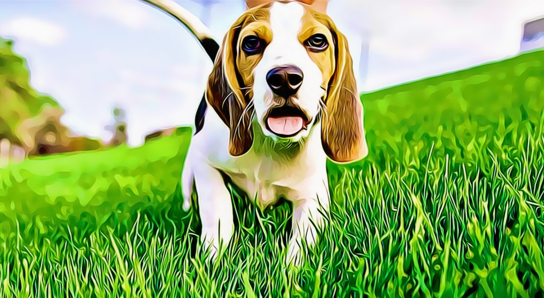 New Patient Form | Pet Derm